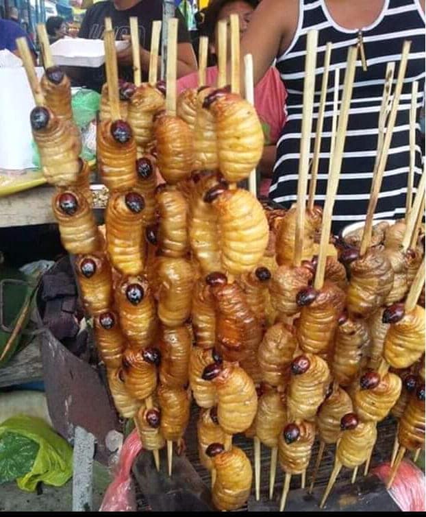 Open-gate-of-the-amazon-tours